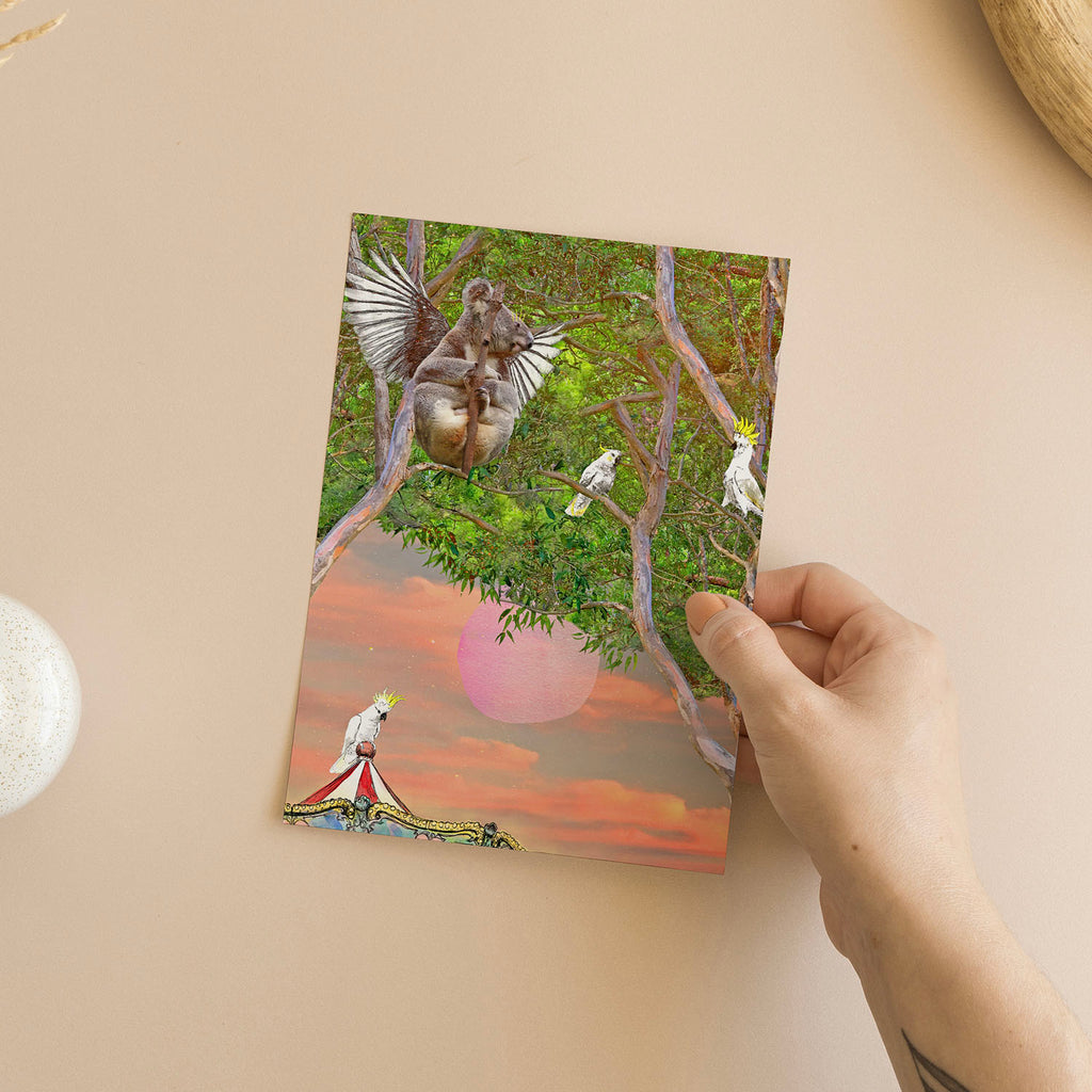 Products – Alykat Creative