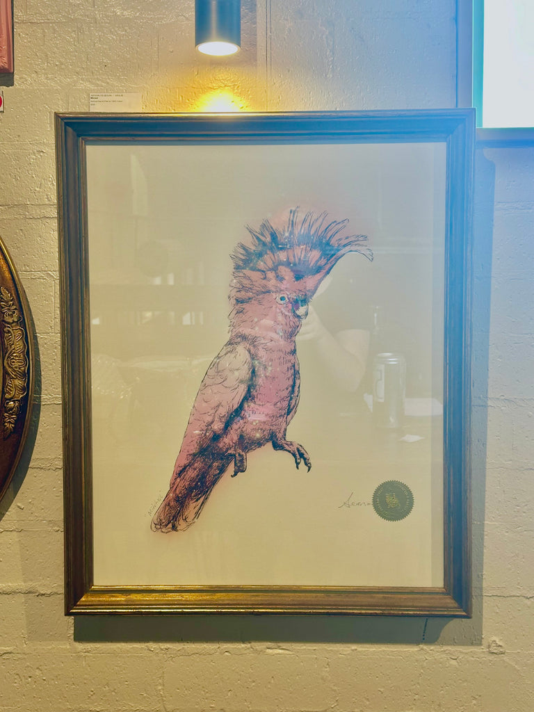 Products – Alykat Creative