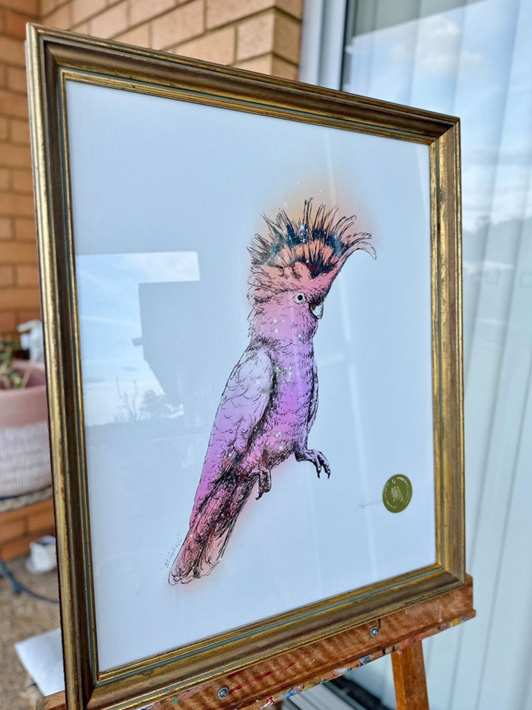 Products – Alykat Creative