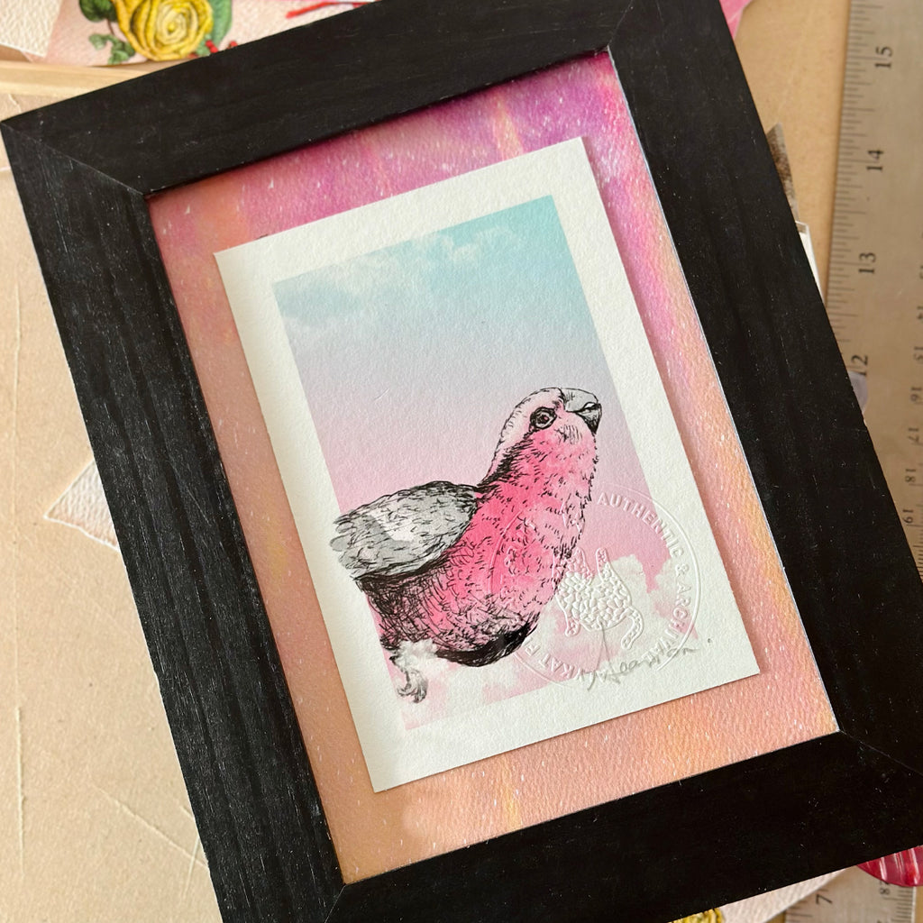 Products – Alykat Creative